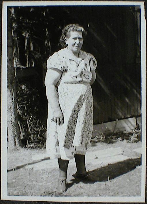 Alfred Erastus "Al" Henshaw